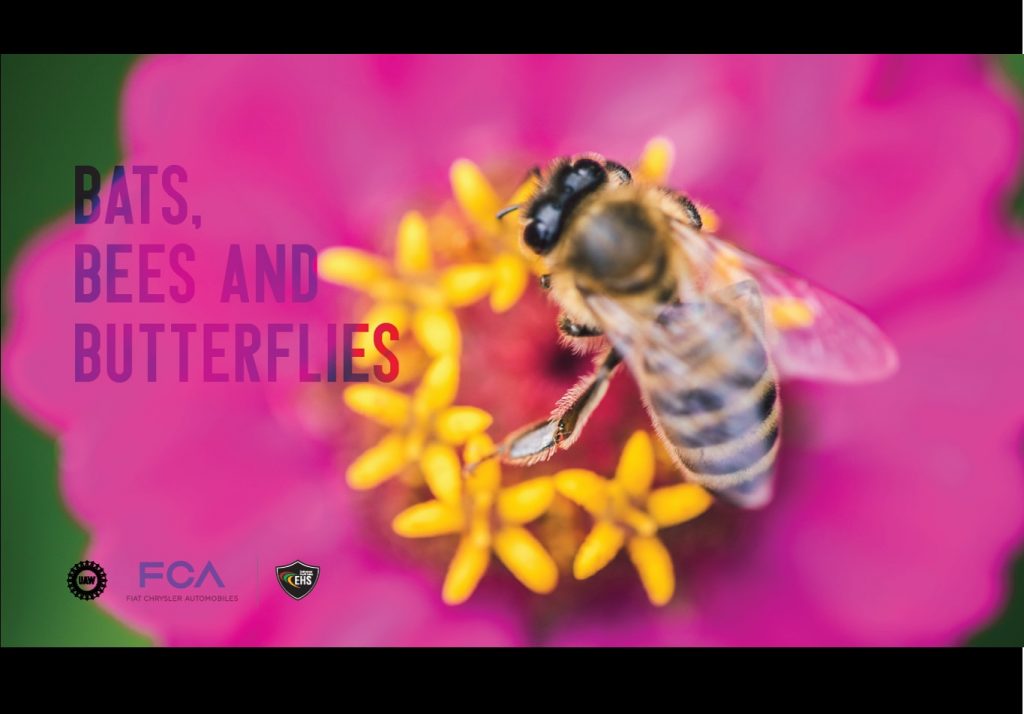 What’s Buzzing at CTC | Stellantis Blog